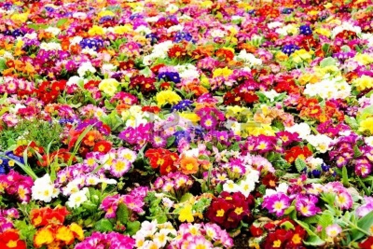 Florilège de vos articles préférés en 2013 | monBestSeller.com