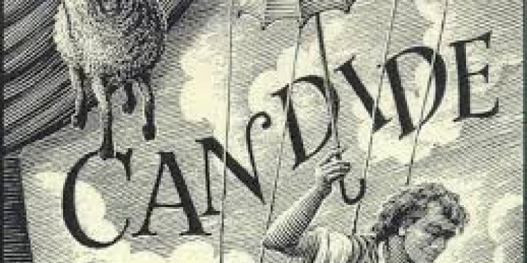 Candide et le nouvel optimisme, pour réapprendre à penser